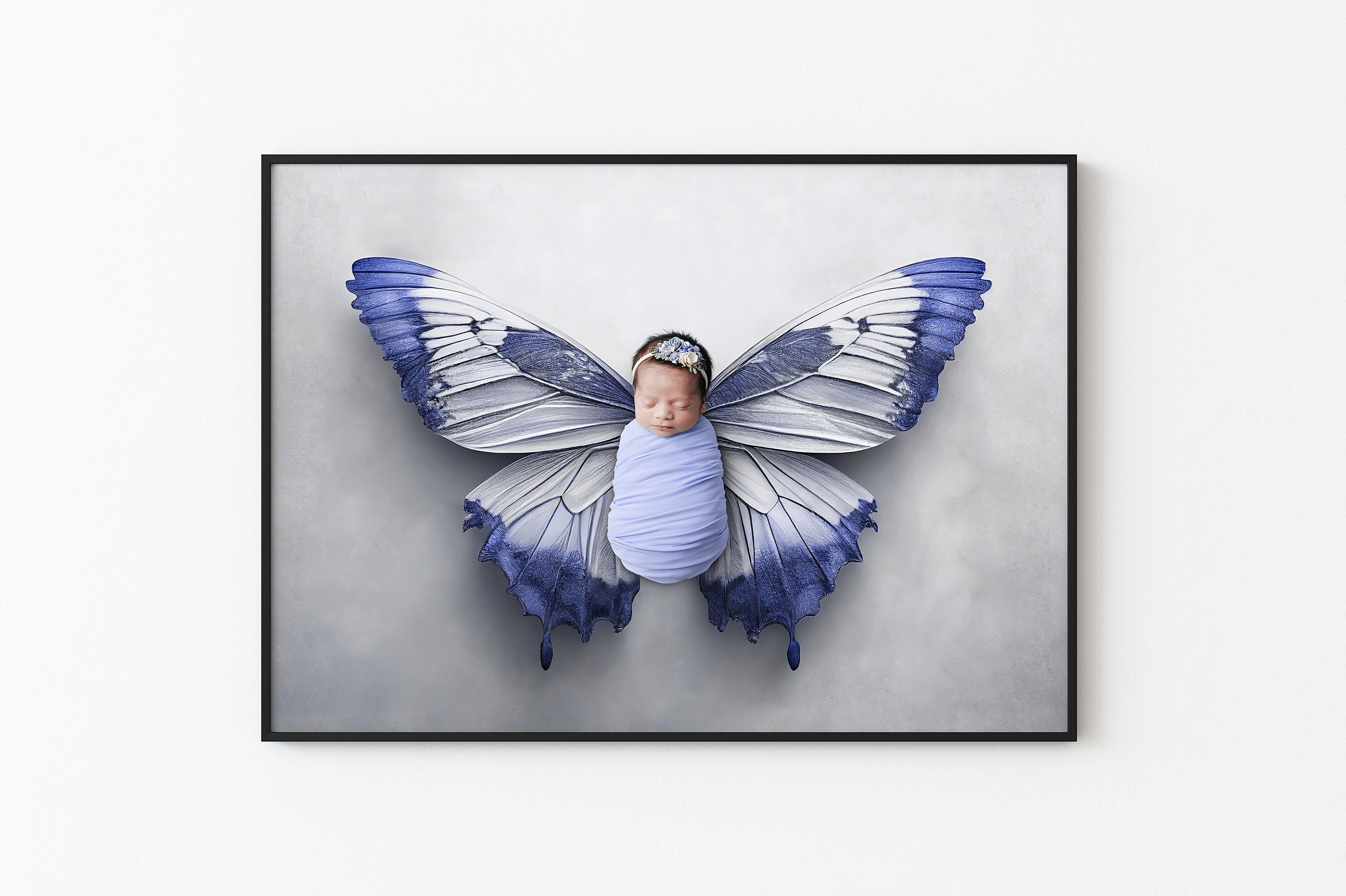 NEWBORN Digital Backdrops BUTTERFLIES in Slate Blue Colors - Etsy