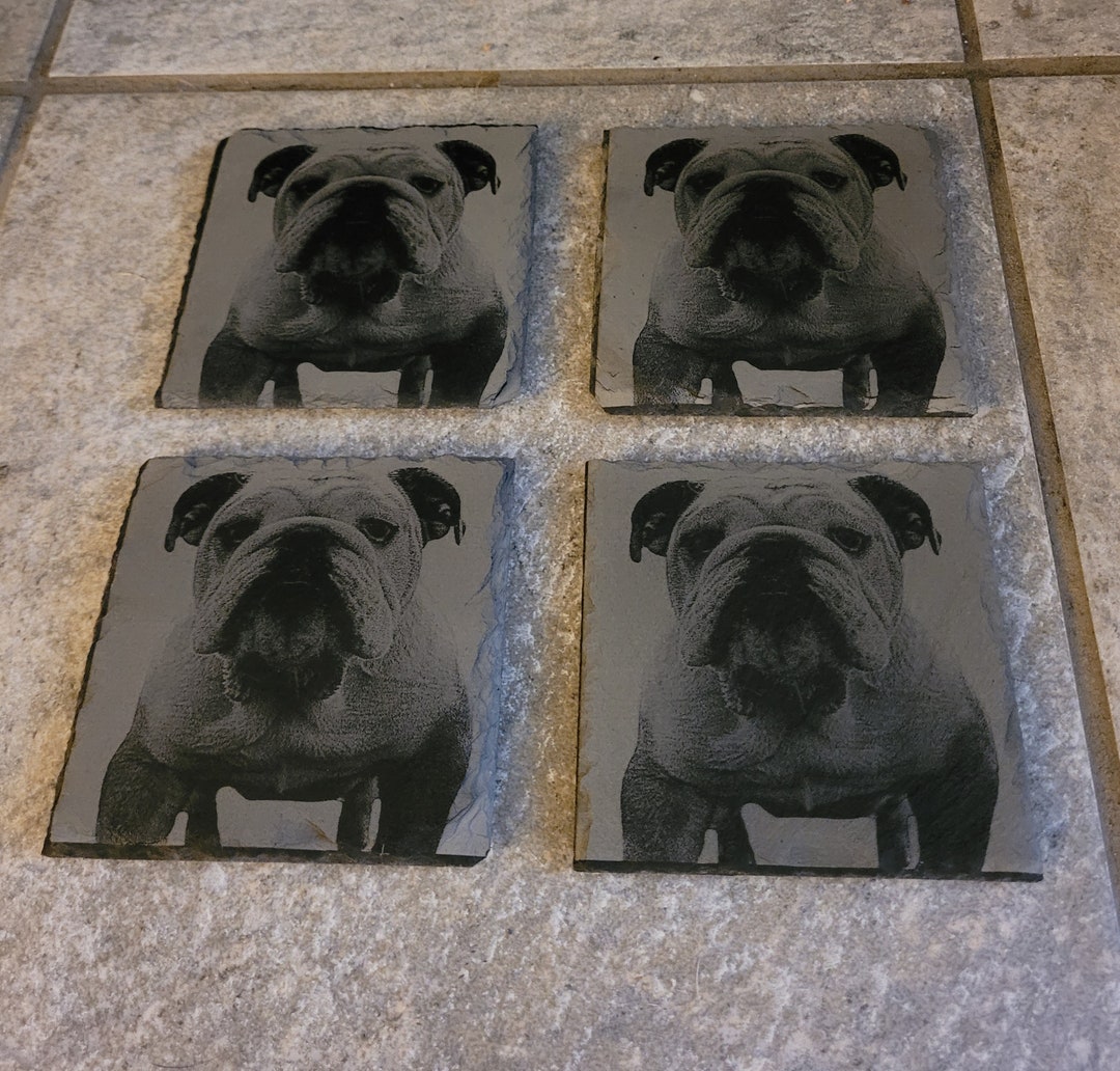 Four (4) English Bulldog Slate Drink Coasters - Realistic Etched - Dog ...