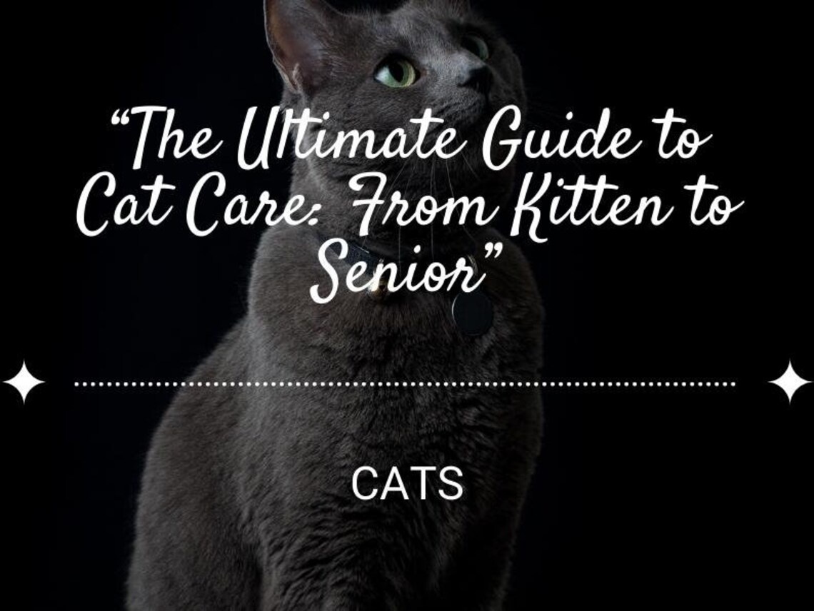 The Ultimate Guide to Cat Care: From Kitten to Senior. E-book, PDF Book ...