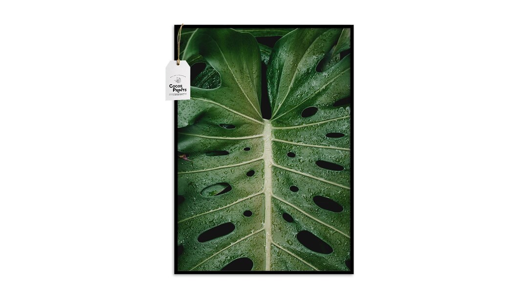 Monstera Botanical Wall Art, Printable Art, Urban Jungle, Variegated ...