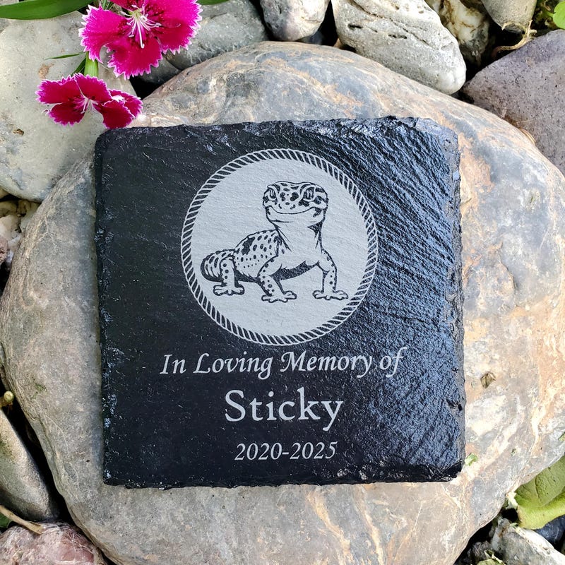 Memory Stone for Lizard - Etsy