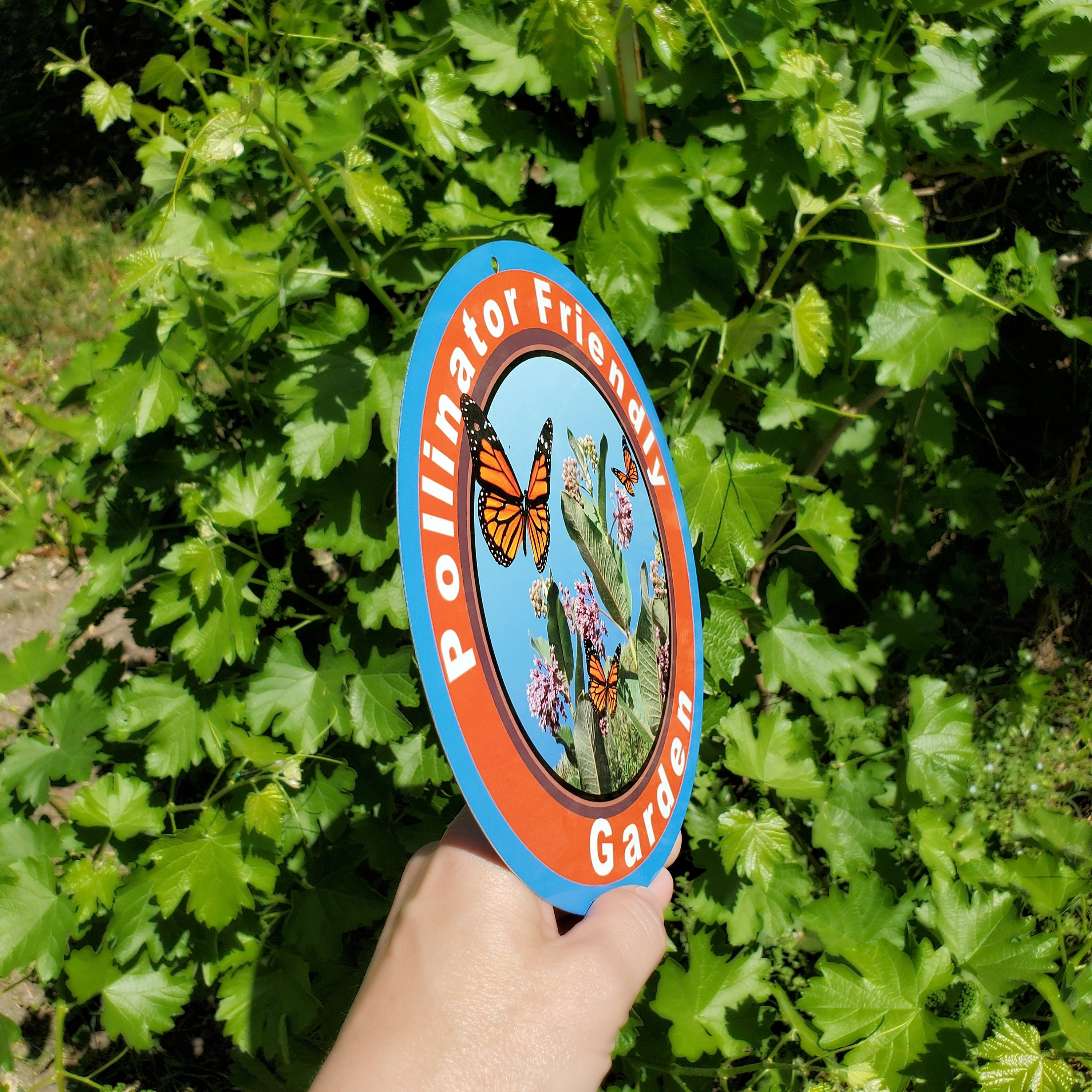 Pollinator Friendly Garden Sign Milkweed for Monarchs Sign Butterfly ...