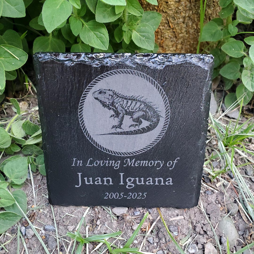 Small Personalized Iguana Lizard Memorial Stone – Engraved Slate Grave ...