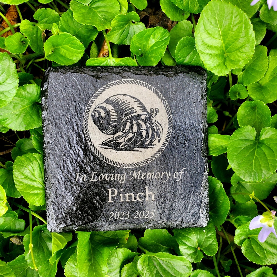 Small Personalized Hermit Crab Memorial Stone – Engraved Slate Grave ...