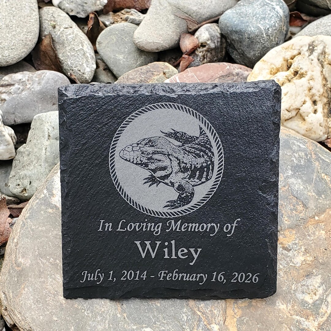 Small Personalized Black & White Tegu Lizard Memorial Stone – Engraved ...