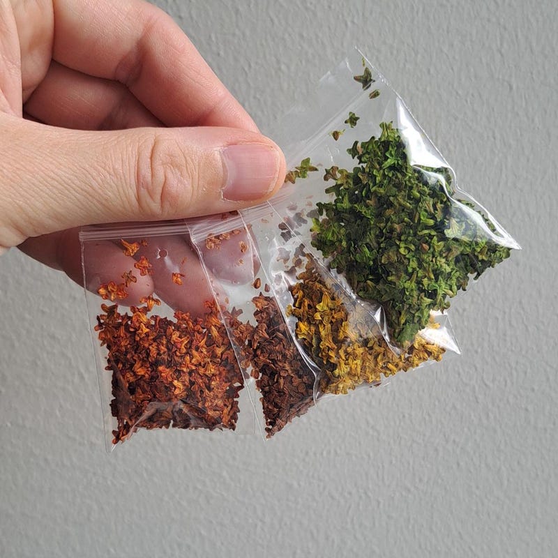 Miniature Leaves - Etsy