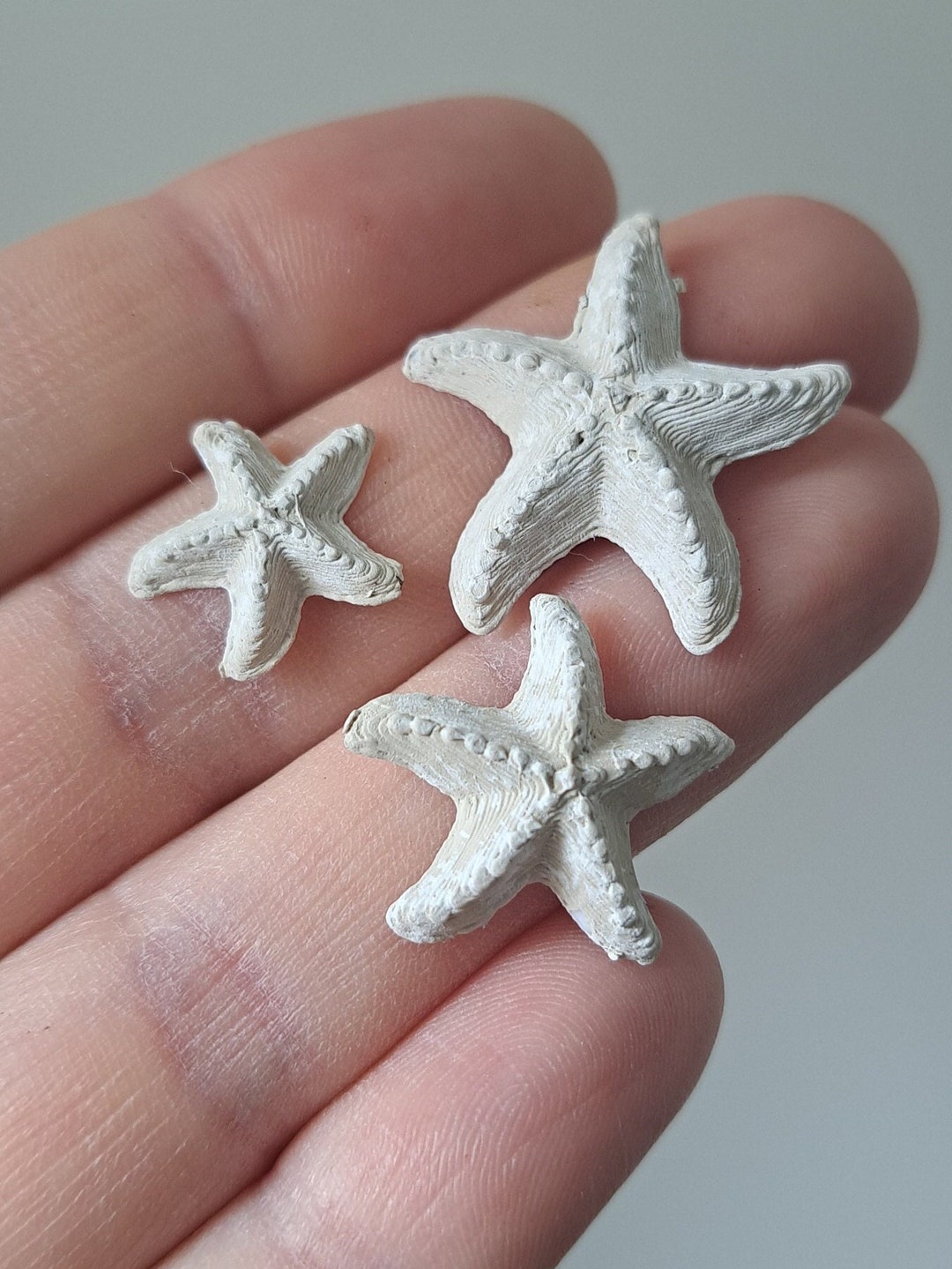 Miniature Dollhouse Sea Shell Home Decorating Beach Marine Style Dolls ...