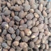 Bambara Beans 12 Oz Okpa, African Yellow Beans OKPA Beans - Etsy