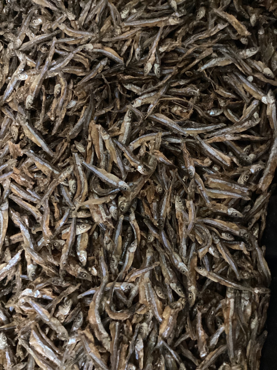 Dagaa Fresh| Mibichi| Indagara 1kg. 2.2LBS FROM Congo - Etsy Australia