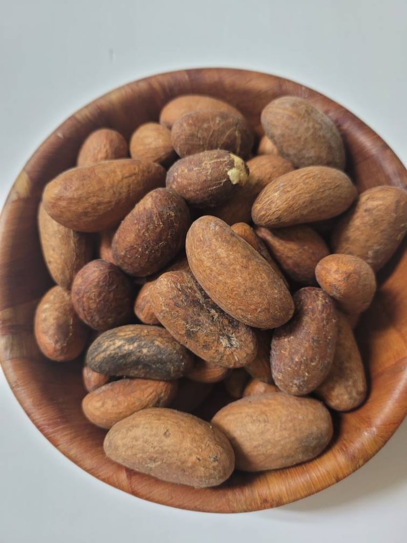 Fresh Organic Authentic Bitter Kola From Nigeria GARCINIA KOLA Orogbo ...