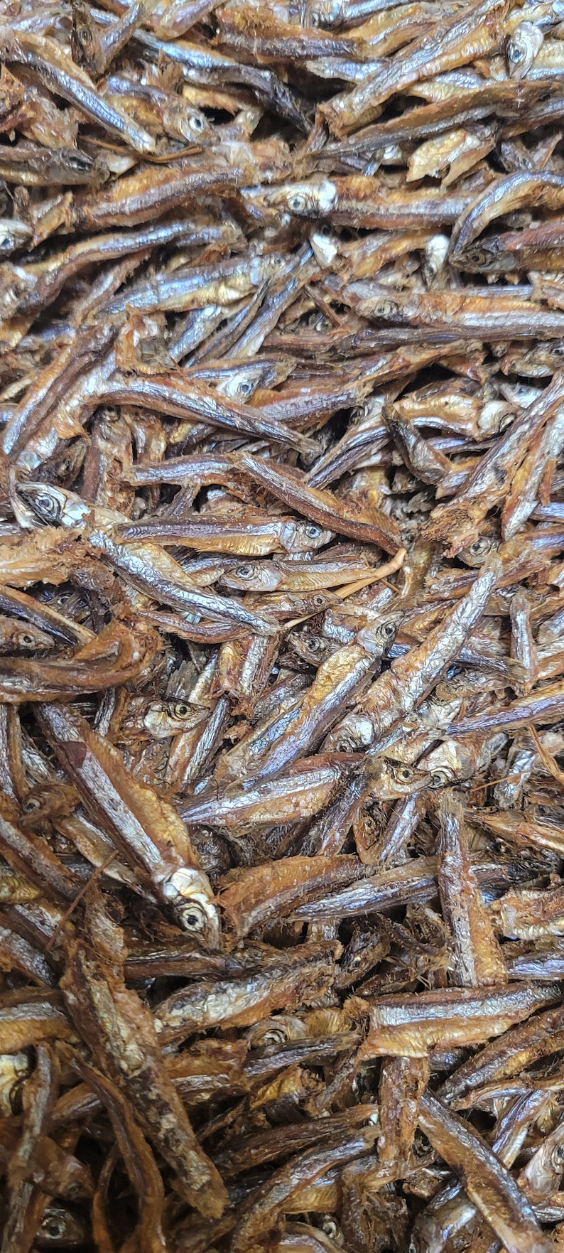 Dried African Anchovies Fish Anchovy, Dagaa, Mukene Omena From Congo ...