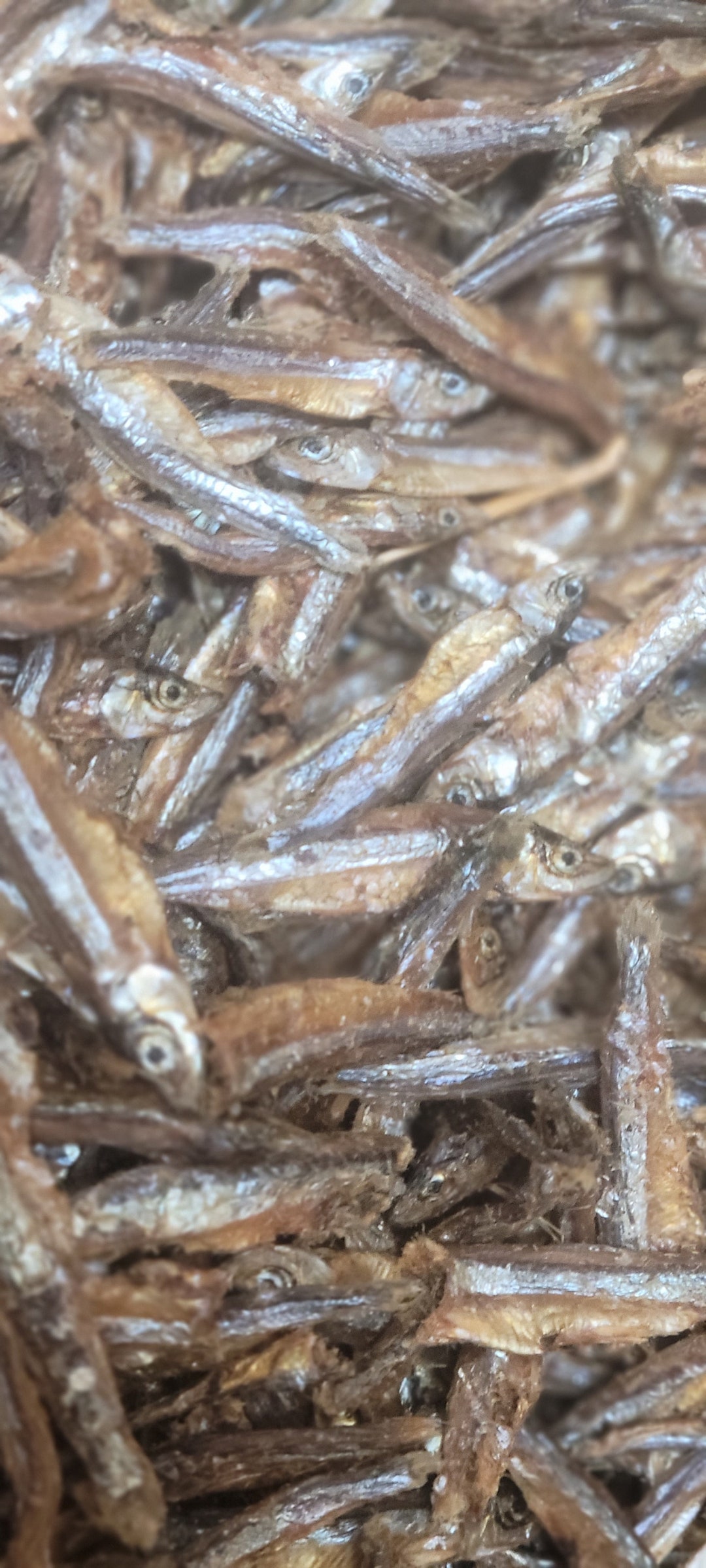 Dried African Anchovies Fish Anchovy, Dagaa, Mukene Omena From Congo ...