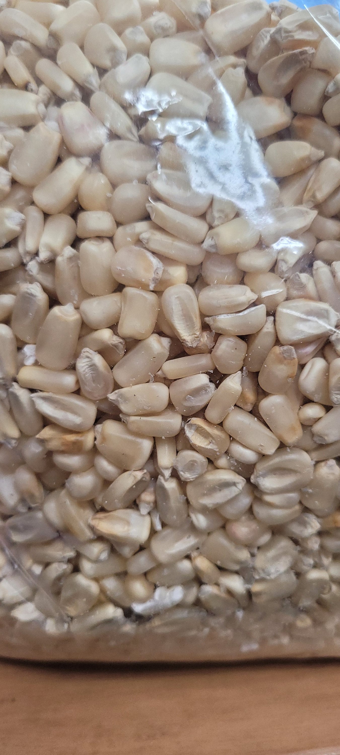 Whole DRY White Corn 4lbs/12lbs/16lbs - Etsy