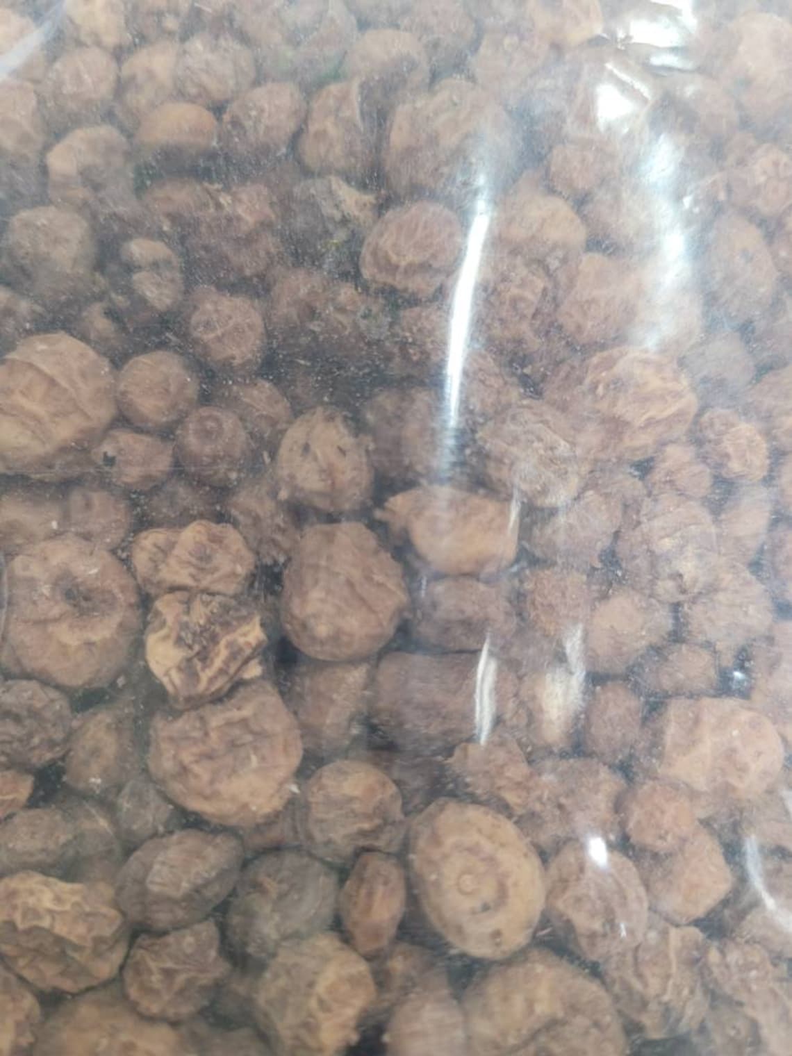 Tiger Nuts,organic Raw Tiger Nuts,chufa Seeds,atadwe,atanme From West ...