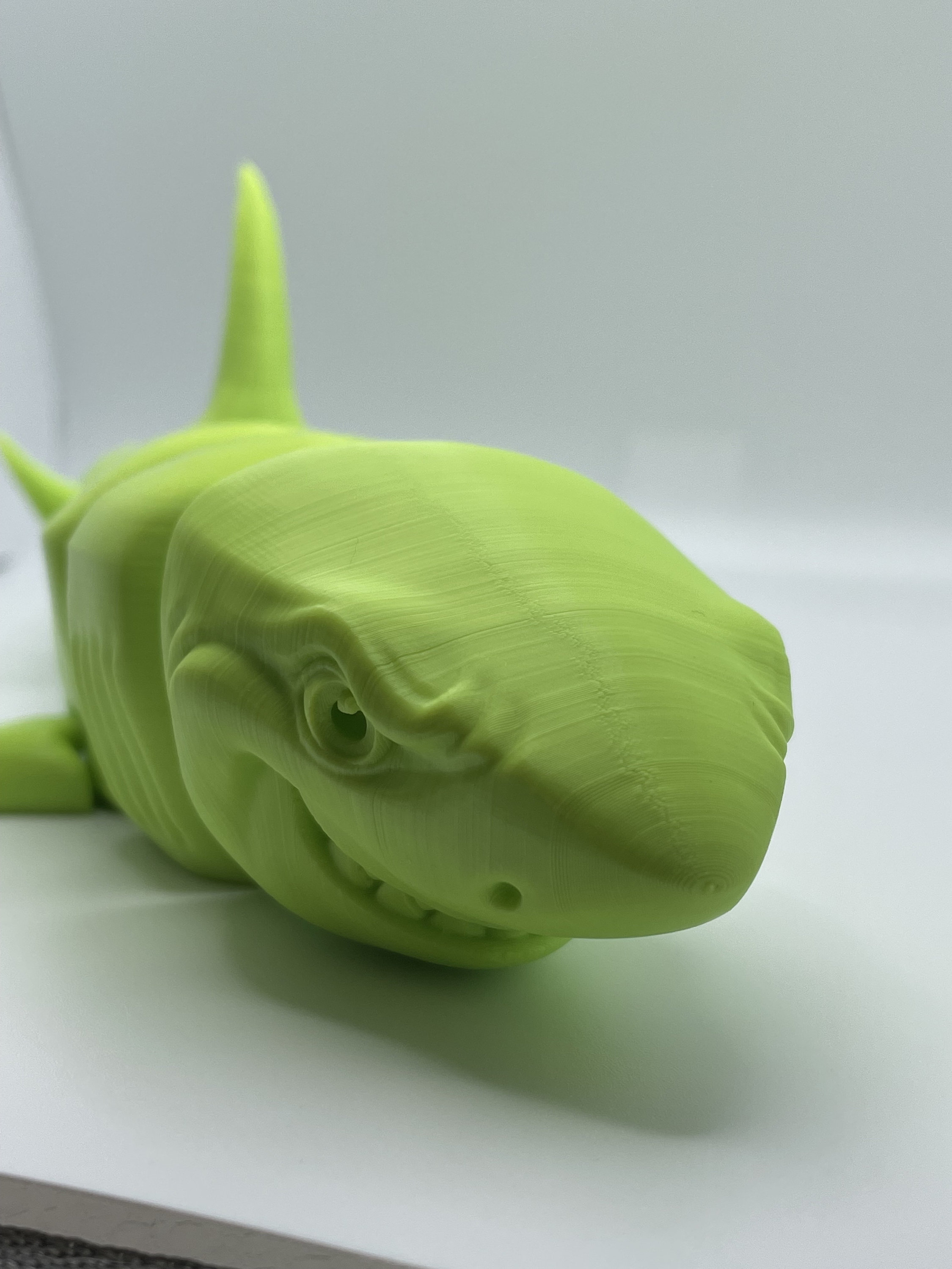 Great White Shark Fidget Toy Shark Desk Toy Shark Adult - Etsy