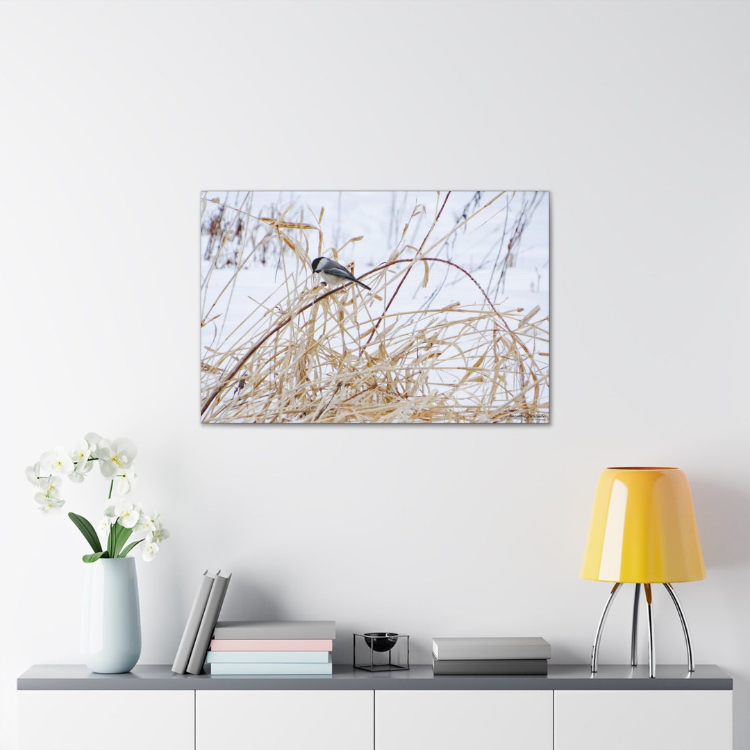 Bird Wall Art Bird Photos Bird Art Print Office Décor Wall Art Gift ...