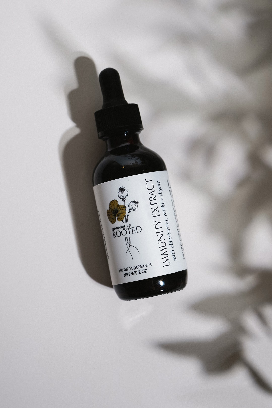 Immunity Extract Tincture for Help Boosting Immunity - Etsy