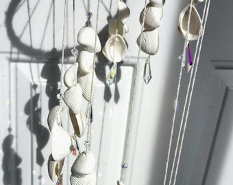 Ark Shell Windchime Suncatcher Beachy Coastal Home Decor Florida ...