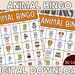 Animal Printable Bingo Game for Kids, Preschool Activity, Classroom ...