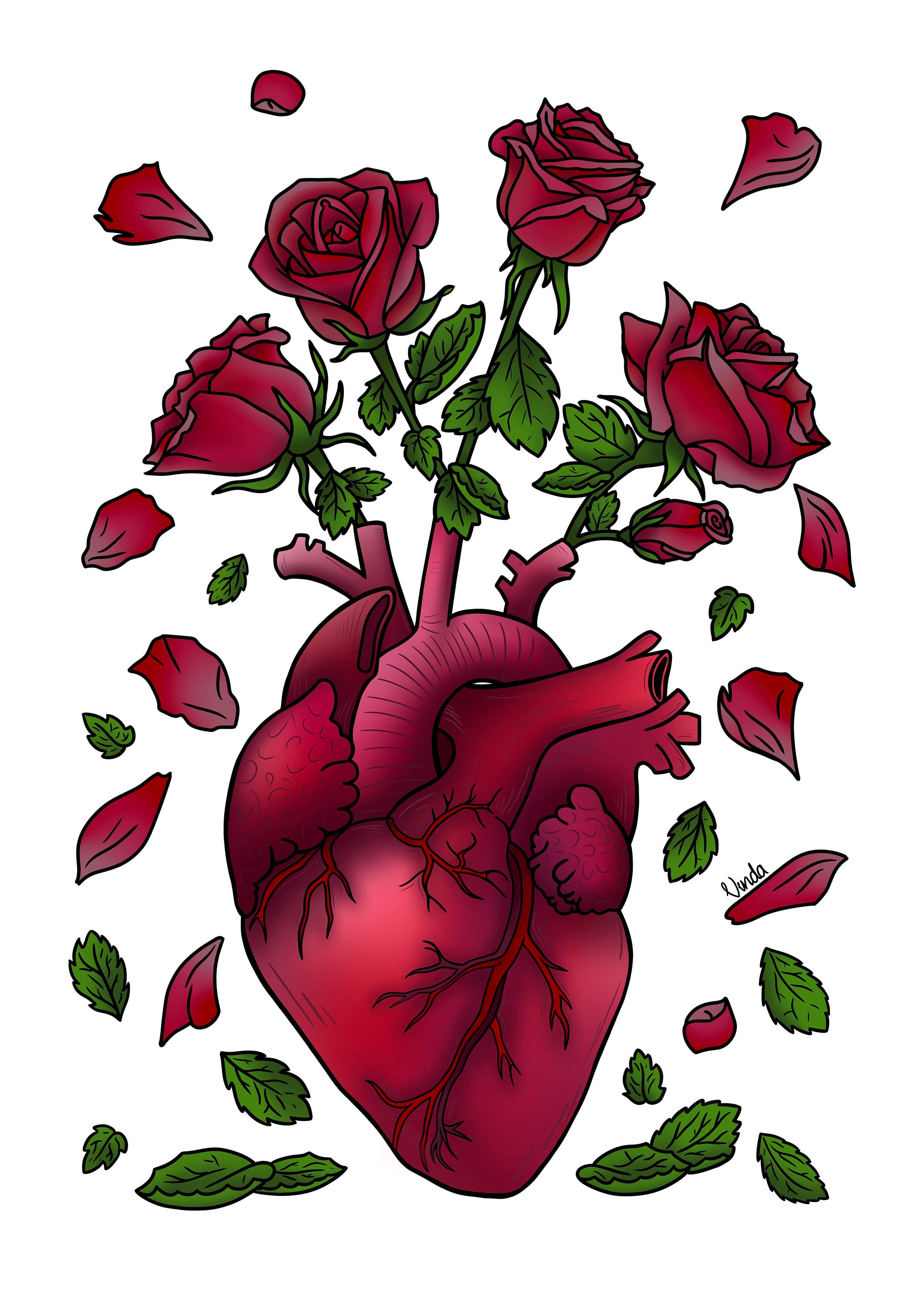 Anatomical Heart and Roses Art Print - Etsy