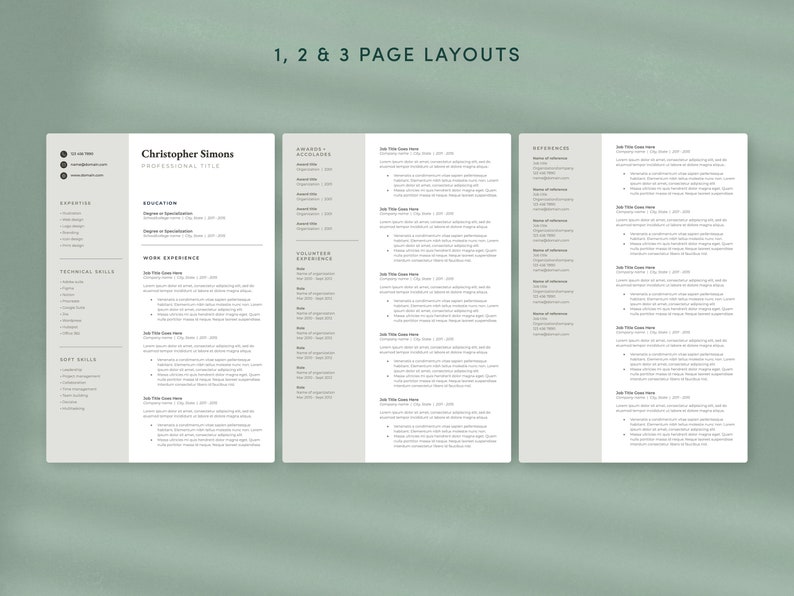 Google Docs Resume Template Executive, Professional & Modern Resume Template Easy to Use ...