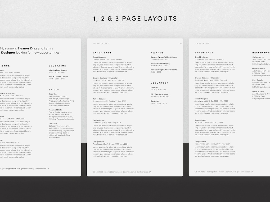Google Docs Resume Template | Executive, Professional & Modern Resume ...