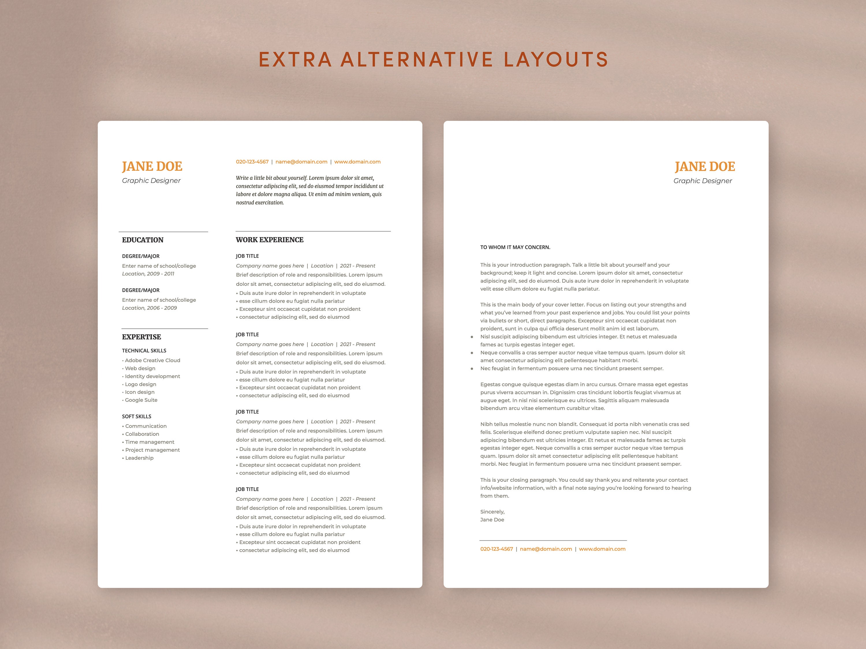 Google Doc Resume Template Executive Professional Modern Resume