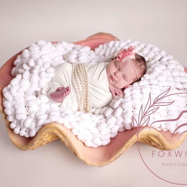 Clam Shell Backdrop Decor - Etsy