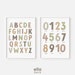 Neutral Alphabet Numbers 1-10 Printable Wall Art Bundle Educational ABC ...