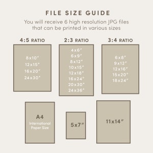 Educational Poster Set of 4, Minimalist Learning Charts for Classroom ...