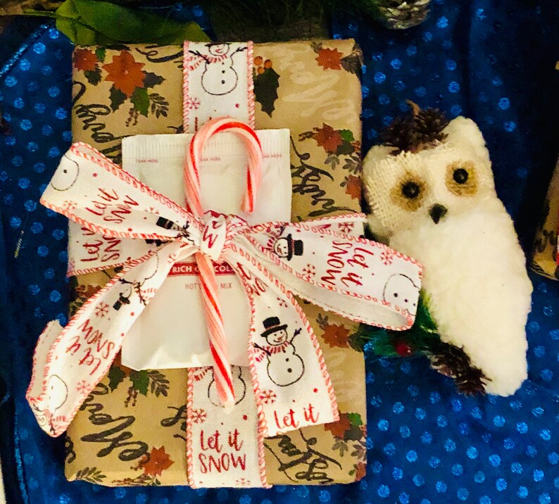 Christmas Book Box, Blind Date With a Book, Mystery Book, Treat ...