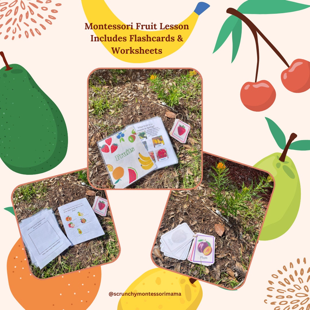Montessori Fruit Lesson Fruit Flashcards Fruit Worksheets Preschool ...