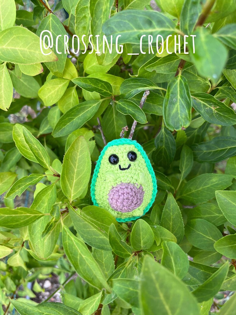 Crochet Pattern: No Sew Avocado Buddy - Printable PDF - Etsy