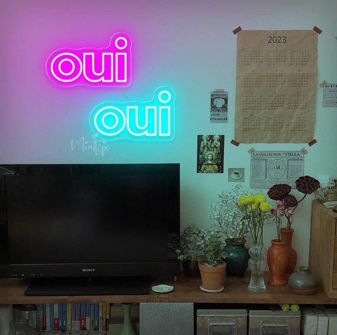 Oui Oui Neon Sign | French Neon Sign | Custom LED Home Decor | Fun Wall ...