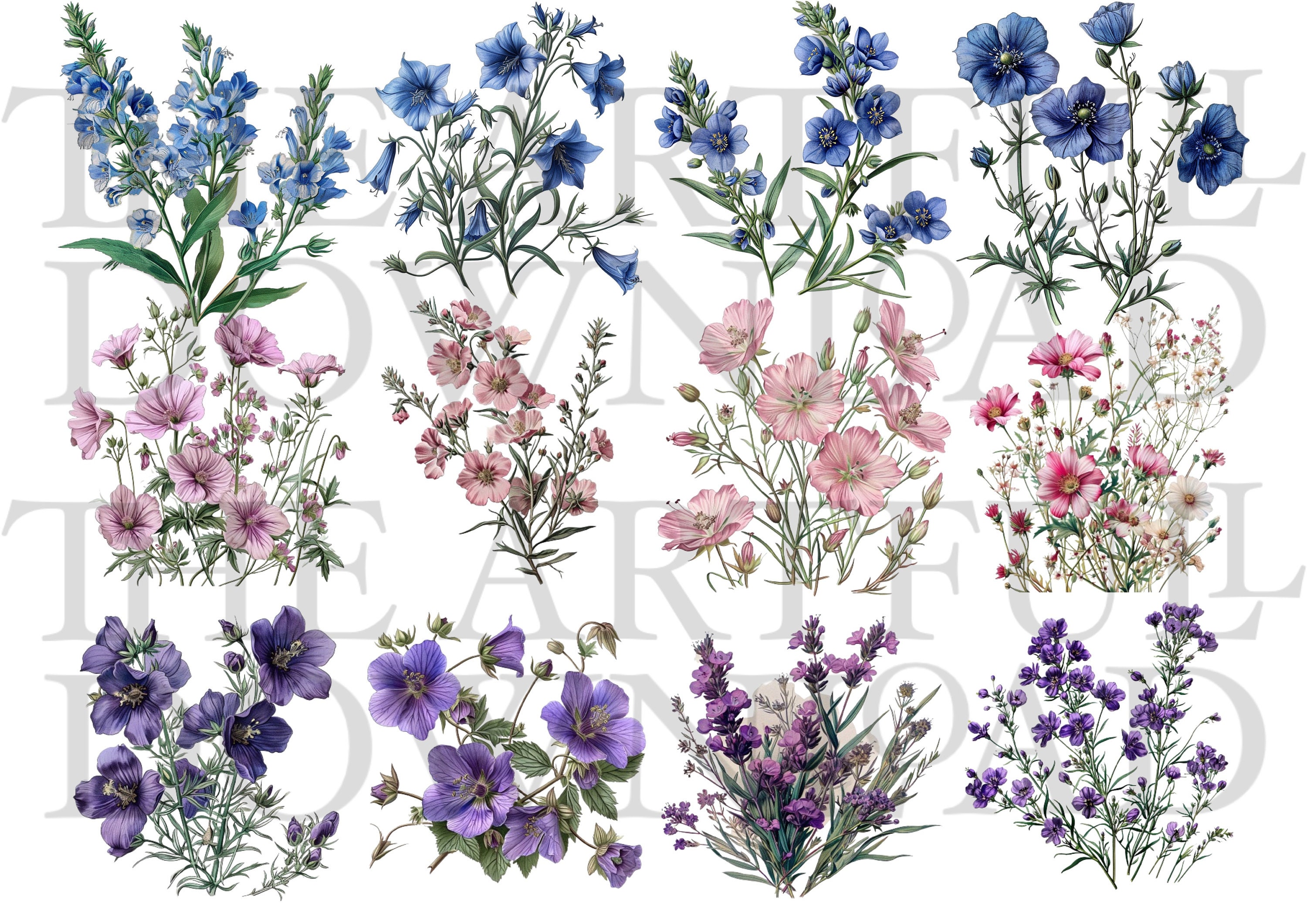Wildflowers Clip Art, Png Images, Digital Product, Printable, Download ...