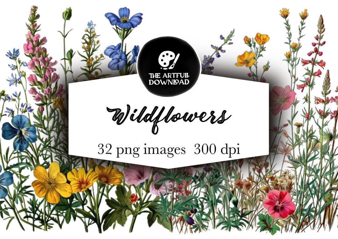 Wildflowers Clip Art, Png Images, Digital Product, Printable, Download ...