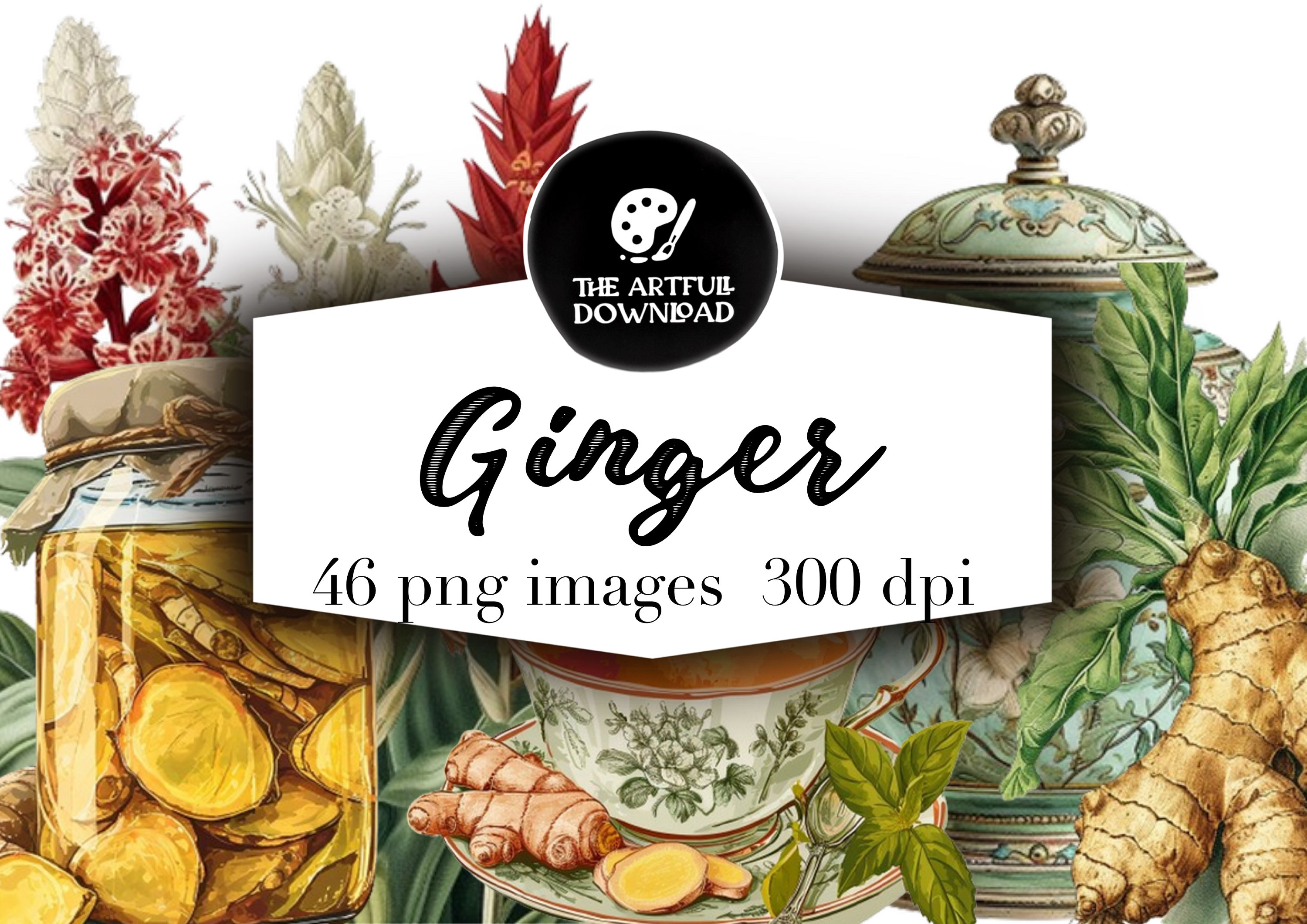 Ginger Clip Art, Png Images, Digital Product, Printable, Download ...