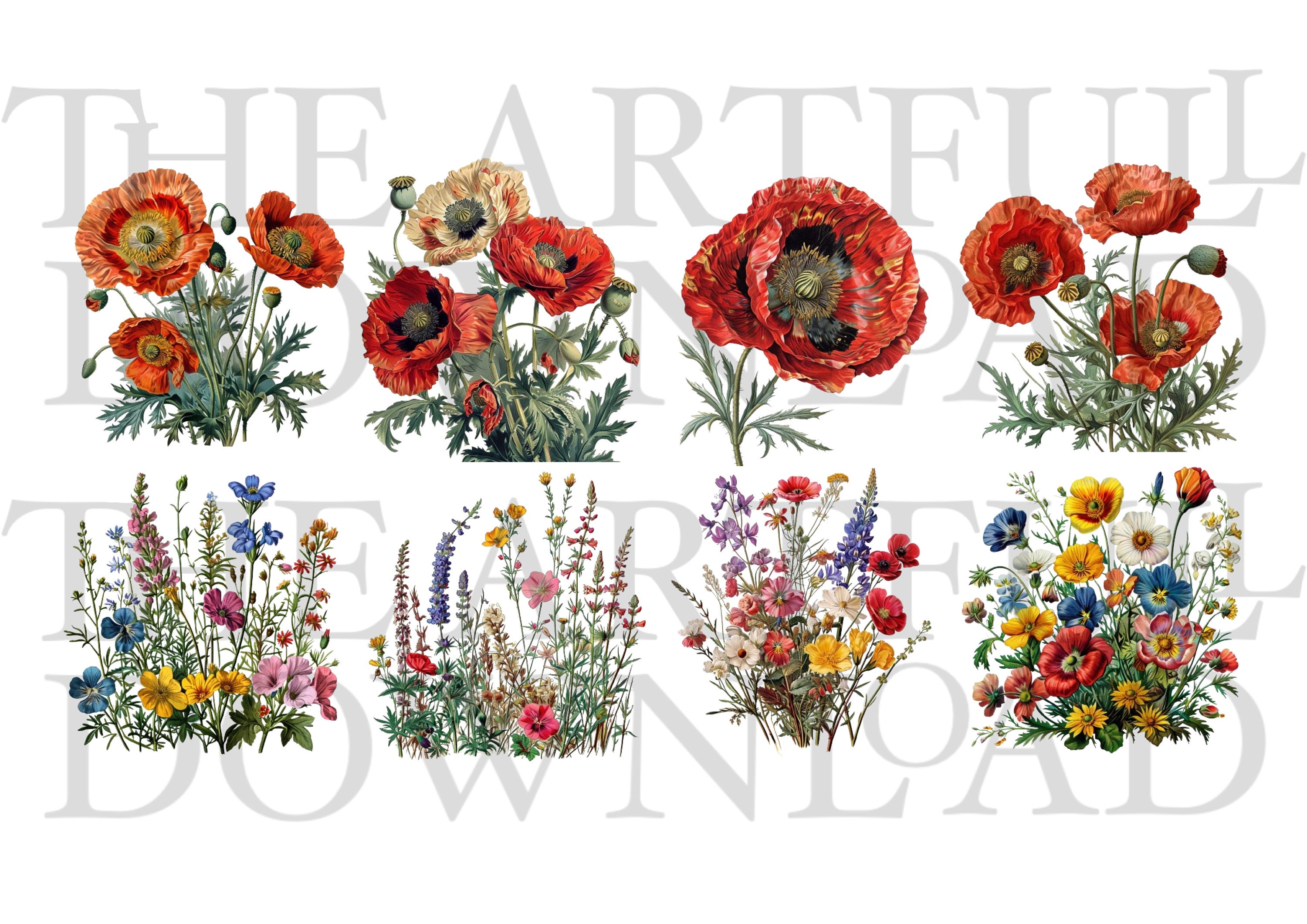 Wildflowers Clip Art, Png Images, Digital Product, Printable, Download ...