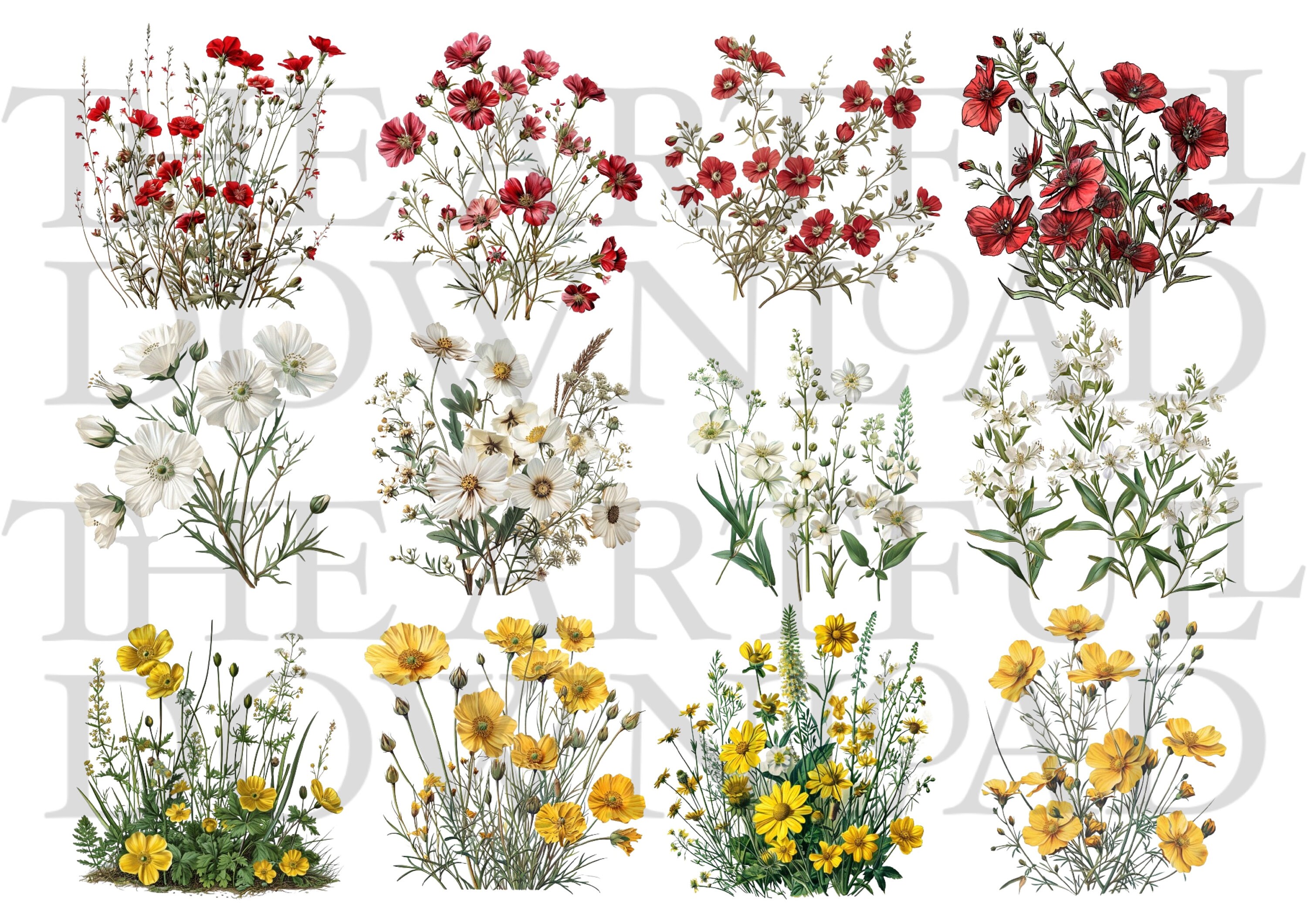 Wildflowers Clip Art, Png Images, Digital Product, Printable, Download ...