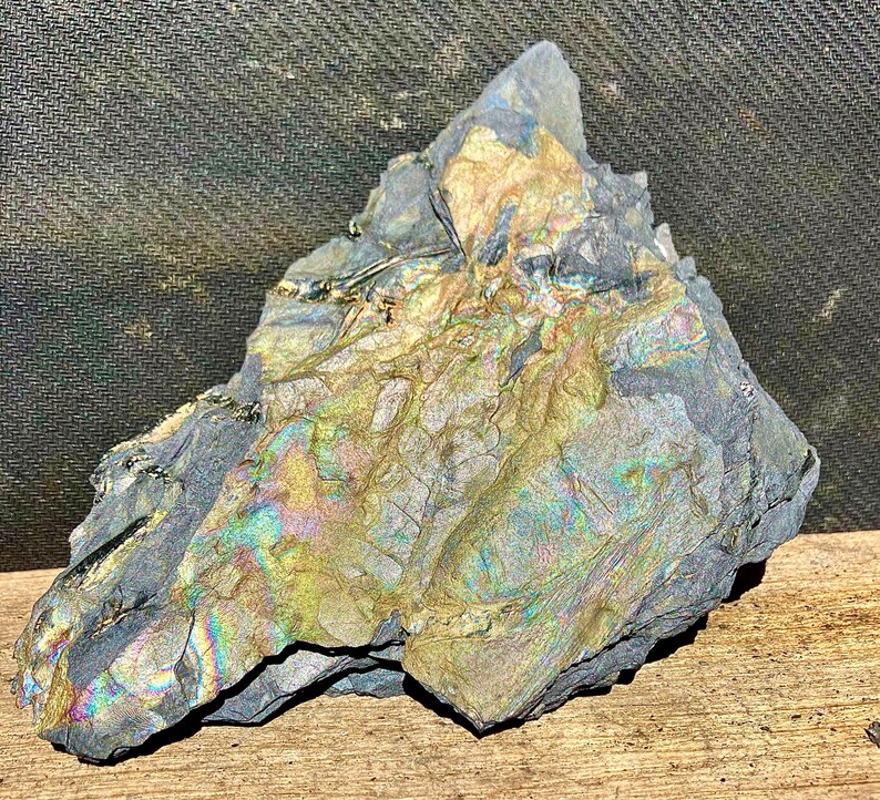 Fossil Fern, Iridescent Peacock Carboniferous Neuropteris Ovata ...