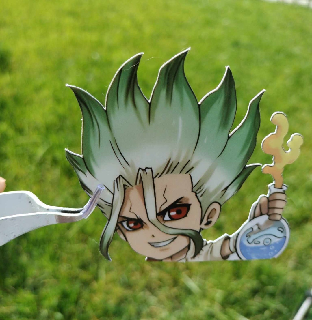 Cute Dr Stone UV Holographic Laminated Peeker, Waterproof - Etsy