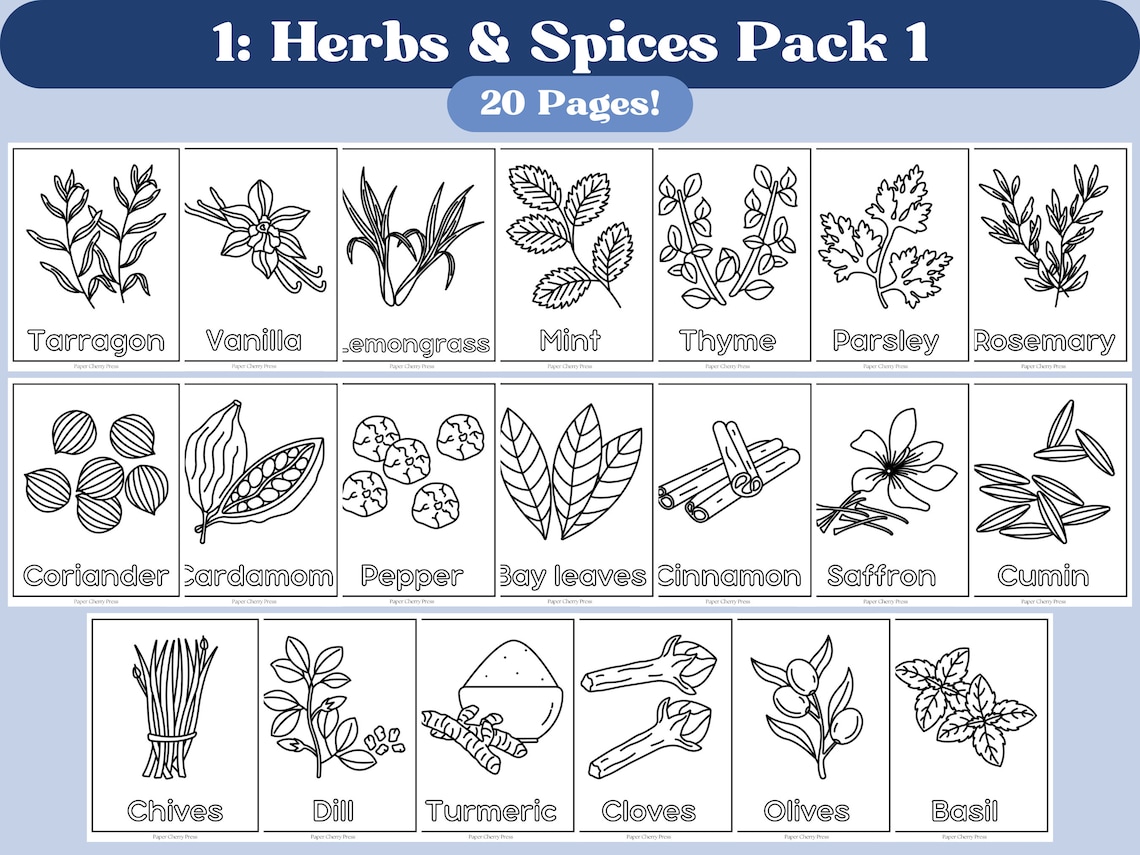 Herbs & Spices BUNDLE Coloring Pages Printable Coloring - Etsy