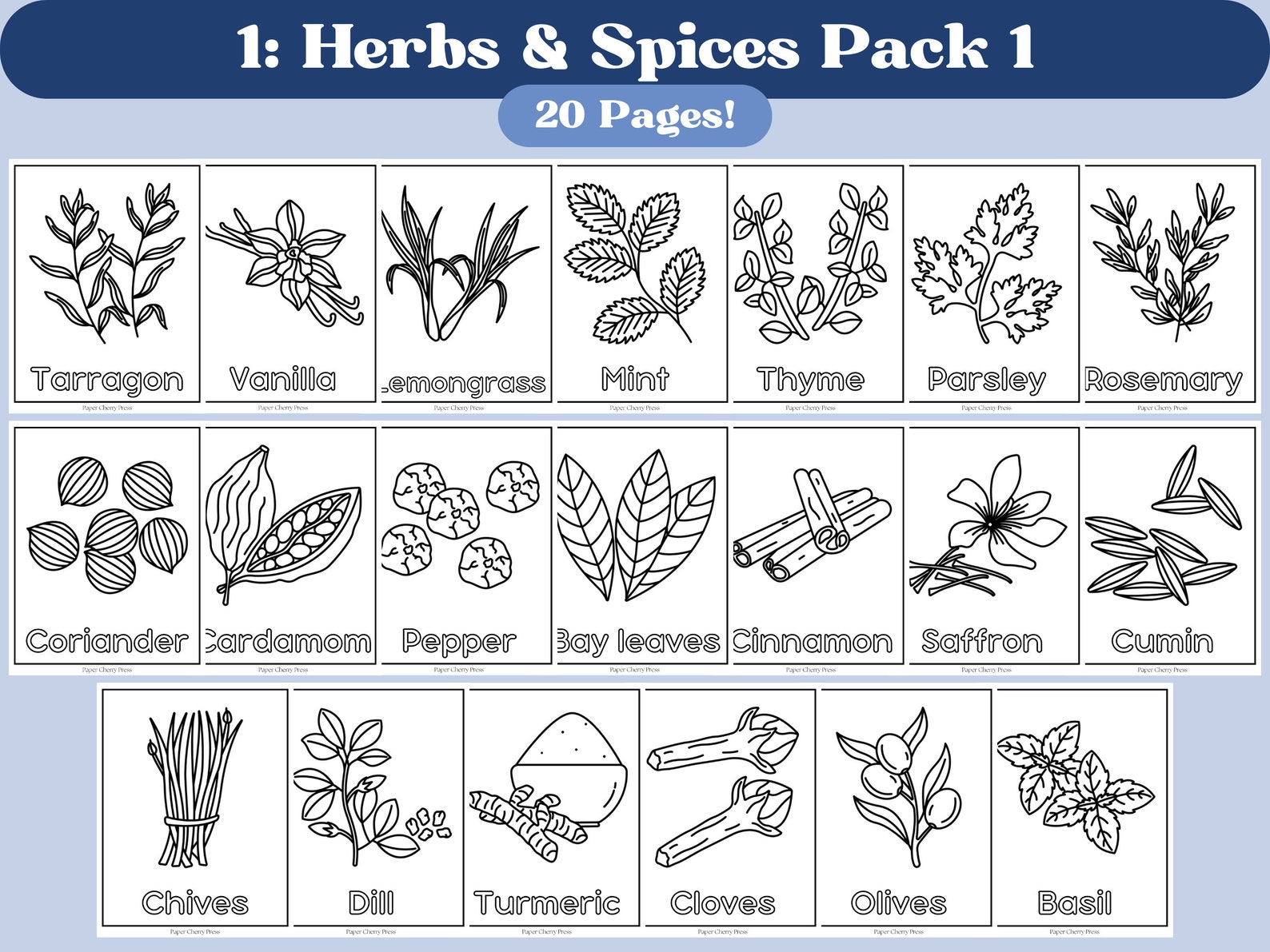 Herbs & Spices BUNDLE Coloring Pages Printable Coloring - Etsy