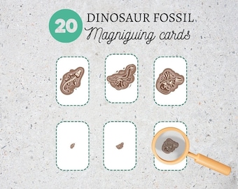 Dinosaur Fossils Magnifying Match Activity, Dinosaur Theme Montessori ...