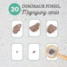 Dinosaur Fossils Magnifying Match Activity, Dinosaur Theme Montessori ...