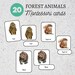 Woodland Animals Flashcards, Kids Printable, Nomenclature Cards ...