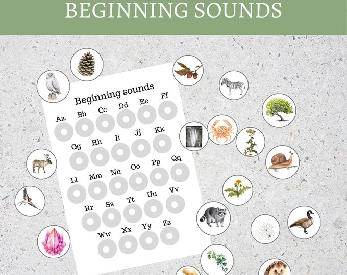 Beginning Sounds Printable Game, Preschool Phonics Activity (digital ...