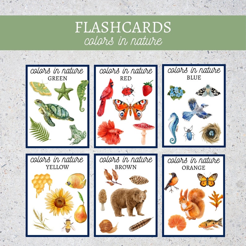 Colors in Nature Flashcards|color Flashcards|montessori|colour Nature ...