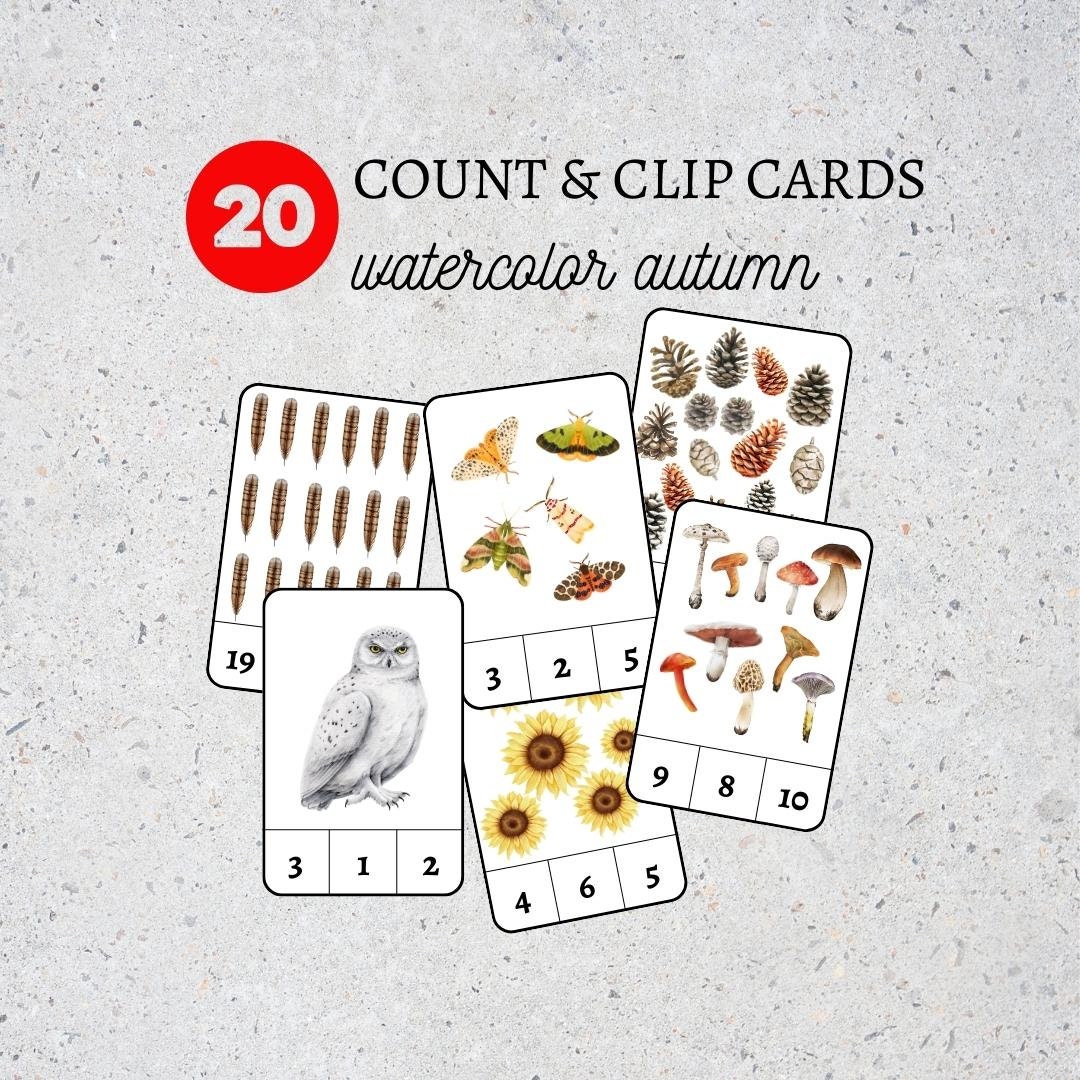 Nature Count and Clip Cards 1-20|number Matching Cards|counting Number ...