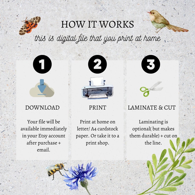 Insect I Spy Printableinsect Learningmini Beasts - Etsy